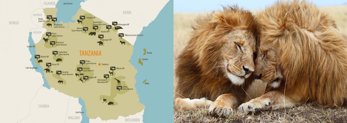 Tansania - Afrika Reisen Safaris